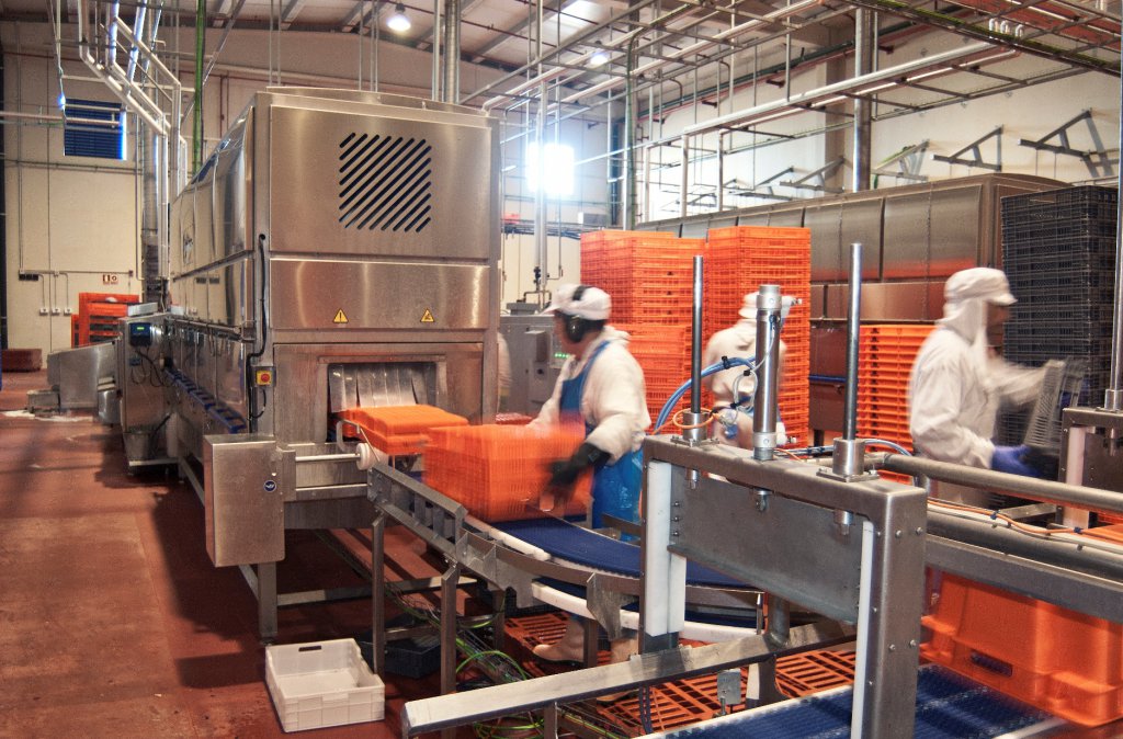Washing Systems for Meat Industry | Mimasa